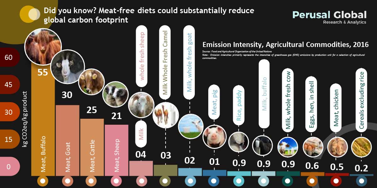Mock Meat Industry - Perusal Global