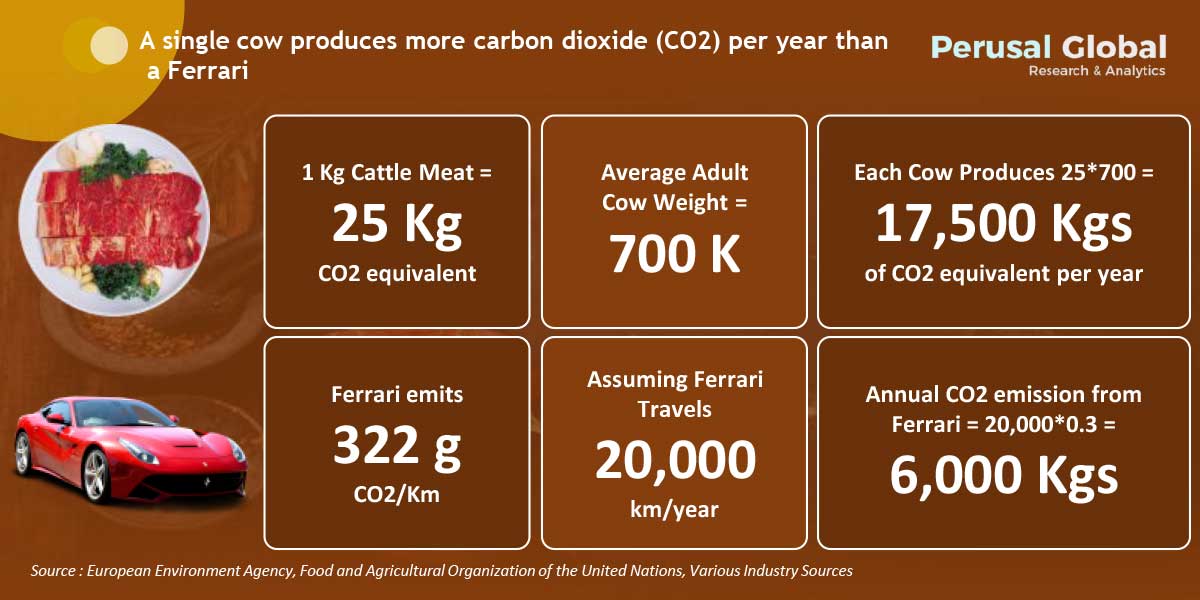 Mock Meat Industry - Perusal Global