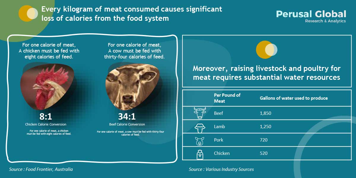 Mock Meat Industry - Perusal Global