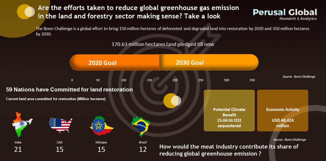 Mock Meat Industry - Perusal Global